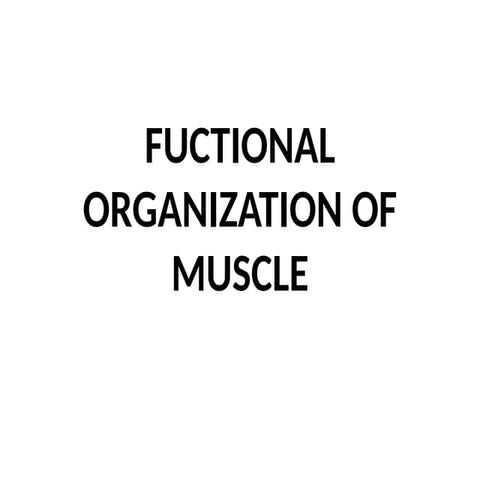1. Functional Organization of muscle .pptx