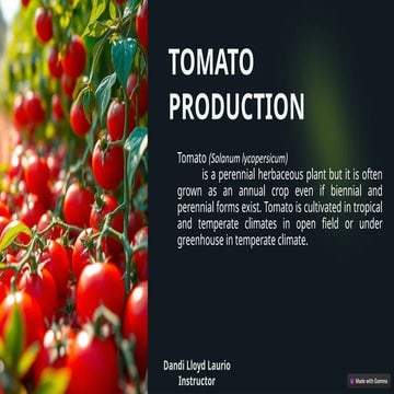 1. Tomato-Production for Horticulture.pptx