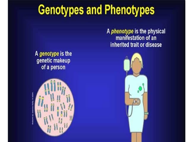 Patterns Of Inheritance Genetics Pptx