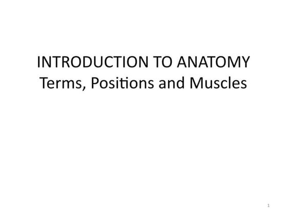 Anatomical Position and Basic Movements | PPT