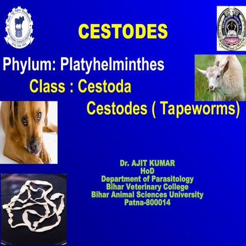 Classification of cestodes | PPT