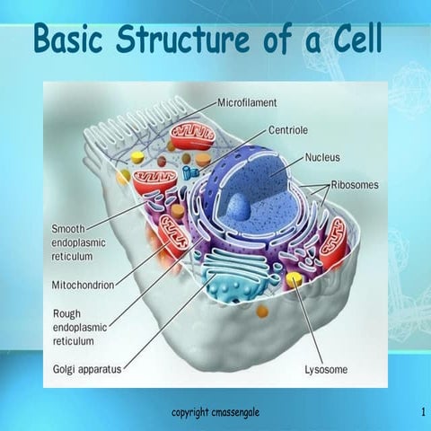 Cell Theory Discussion | PPT