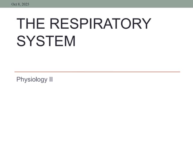 Anatomy of the lower respiratory tract | PPTX