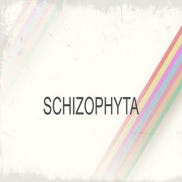 1. Schizophyta_Sistematika Tumbuhan Rendah.pptx