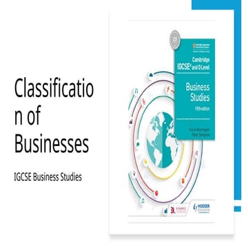 IGCSE Section 1.2. Classification of Businesses.pptx
