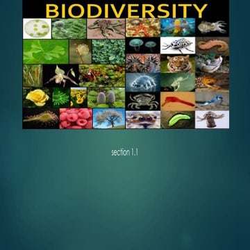 1.0 Biodiversity.pptx.pdf Presentation Presentation | PDF