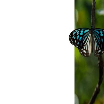 Available for instant download in exchange for a bit of your brilliance ...