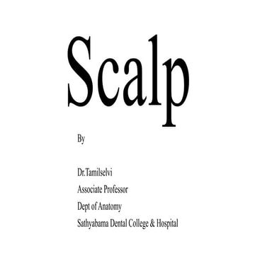 Anatomy of scalp | PDF