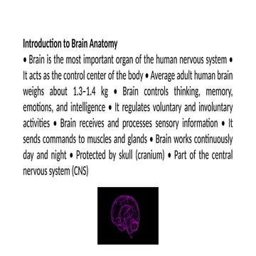 1. Introduction to Brain Anatomy for genral introduction.pptx