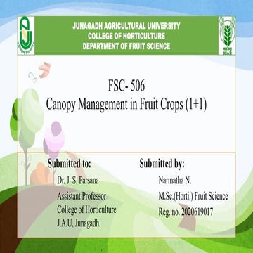 Presentation on canopy mangement in fruit crops.pptx