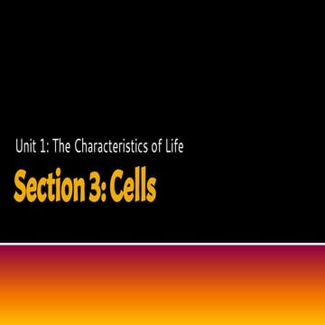 Prokaryotic &eukaryotic cells | PPTX