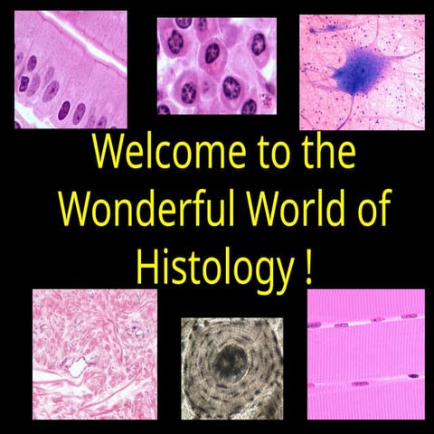 1. INTRODUCTION - 2025.pptx Welcome to the wonderful world of histology ...