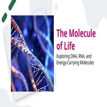 The molecule of life related to DNA Structure | PPTX