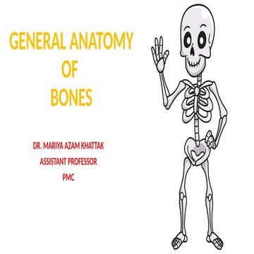 1. General Anatomy of Bones.pptx Types of bones , Classification | PPTX