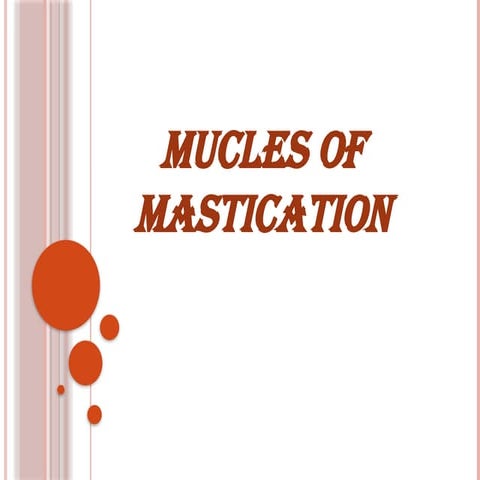 Description Muscles Of Mastication in Dentistry | PPTX