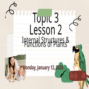 Internal Structures and Functions of Plants for 3rd grade | PPTX