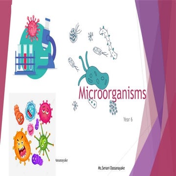 Harmful and Useful Microorganisms Presentation | PPTX