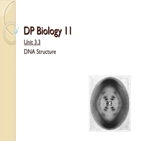 1 3.3 - dna structure | PPT