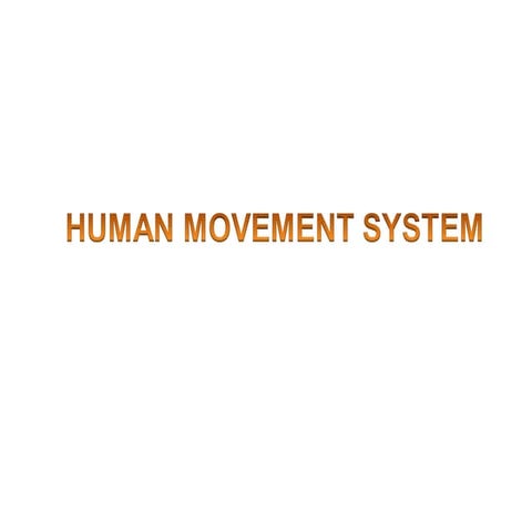 1.3 human movement system | PPT