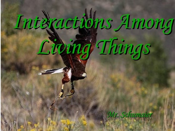 TLE 6 - Presentation in industrial arts.pptx