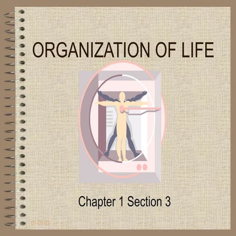 1 3 organization of life keynote | KEY