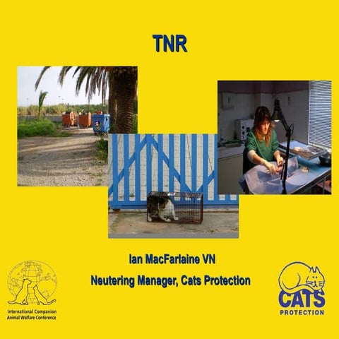 1.4 TNR - Ian MacFarlaine VN | PPT