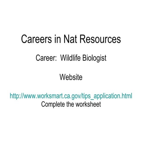 1 4 Job Applications | PPT