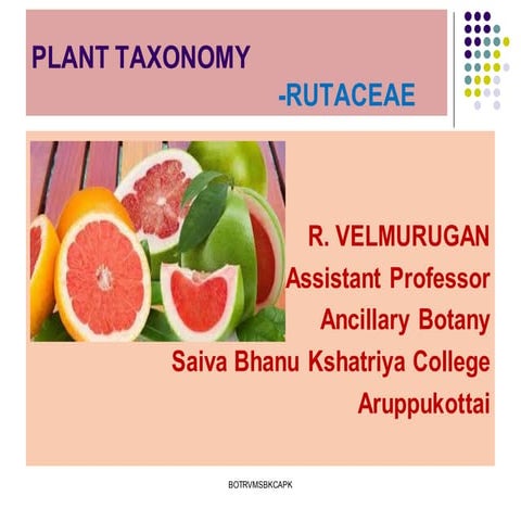 1 4 taxonomy -rutaceae | PPT