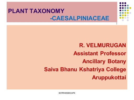 Leaf apex type | PPT