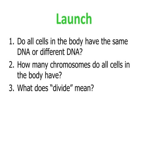 1 7 Cell Cycle | PPT