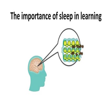1 7 the-importance_of_sleep_in_learning | PPTX