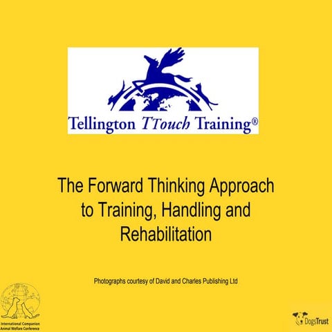 1.8 Forward Thinking Approach in Training, Handling and Rehabilitation ...
