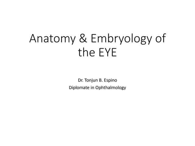 Histology of eye | PDF | Eye and Vision Conditions | Diseases and ...