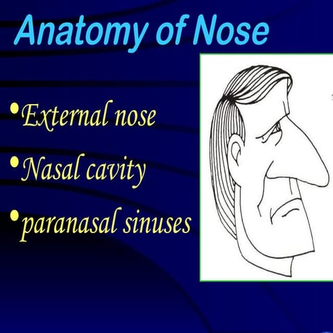 1-Anatomy of Nose.ppt Nose Anatomy HAP-1 | PPT