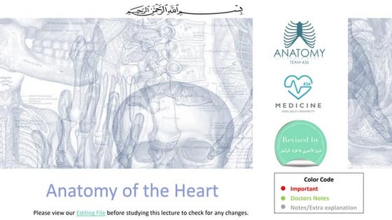 Practical 1 pig heart dissection | PPT