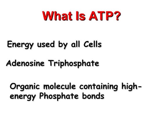 Cellular respiration introduction for 9th grade biology | PPT