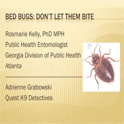 1. bed bugs | PPT