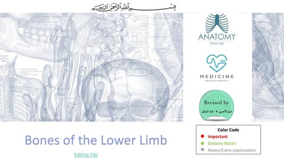 APPLIED ANATOMY OF THE OSTEOLOGY OF THE LOWER LIMB-2.pptx