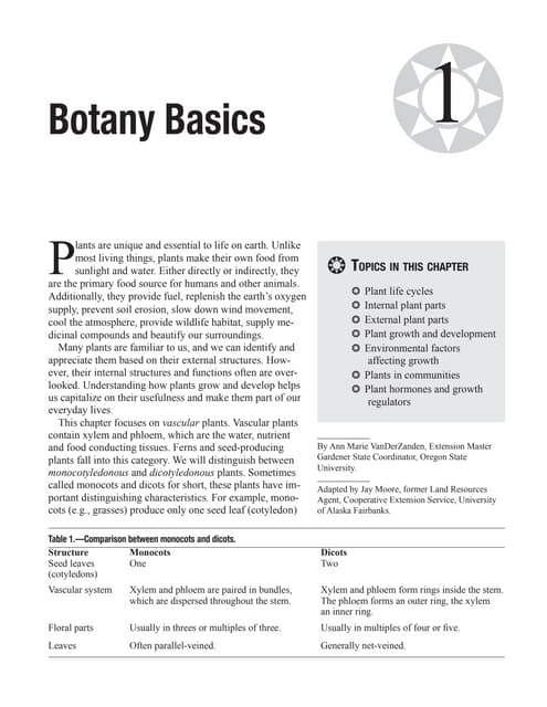 Plants Root and Shoot Systems-GRADE 4.pptx