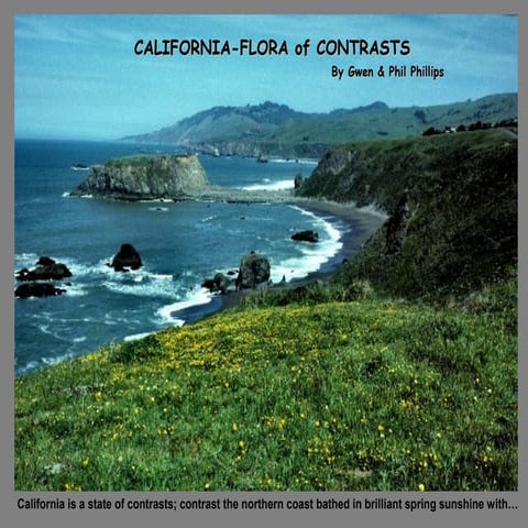California, Flora of Contrasts | PPT