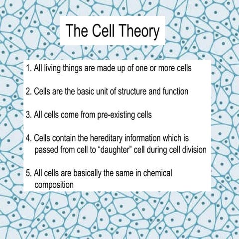 Cell Theory & Membranes | PPT | Chemistry | Science