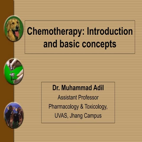 Terminal Cleaning veterinary presentation | PDF