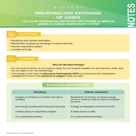 Comparative physiology of respiratory system of different species | PDF