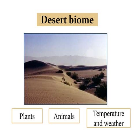 1 desert biome | PPTX | Weather | Science