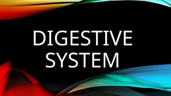 Digestive System Grade 4 igcse easy notes ppt | PPT | Nutrition ...