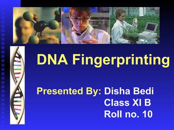 352180832 dna-fingerprint-investigatory-project-class-12 (1) | PDF