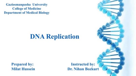 Dna replication | PPTX | Biological Sciences | Science