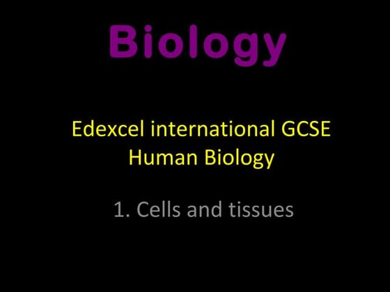 Human biology-edexcel-igcse | PDF