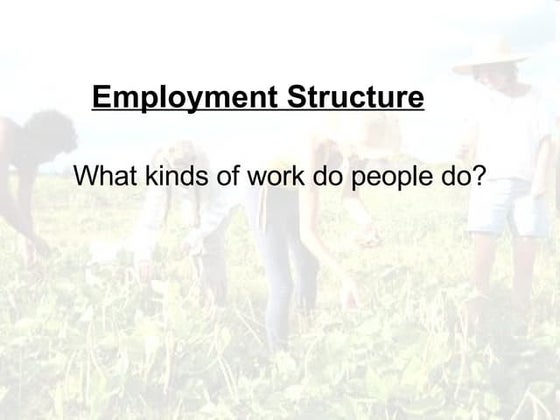 The structure of employment | PPTX