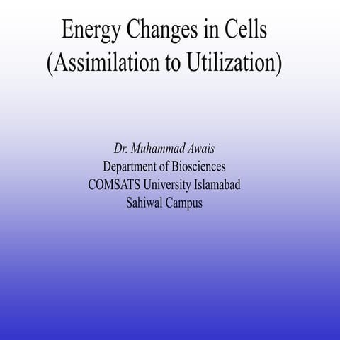 1 energy in a cell new | PPT | Chemistry | Science